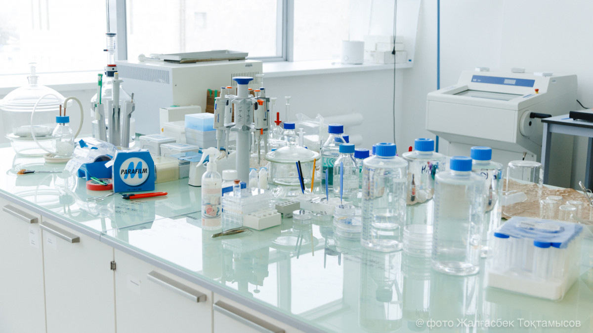 Құрамында токсиндері бар 5 дәрі-дәрмек анықталды